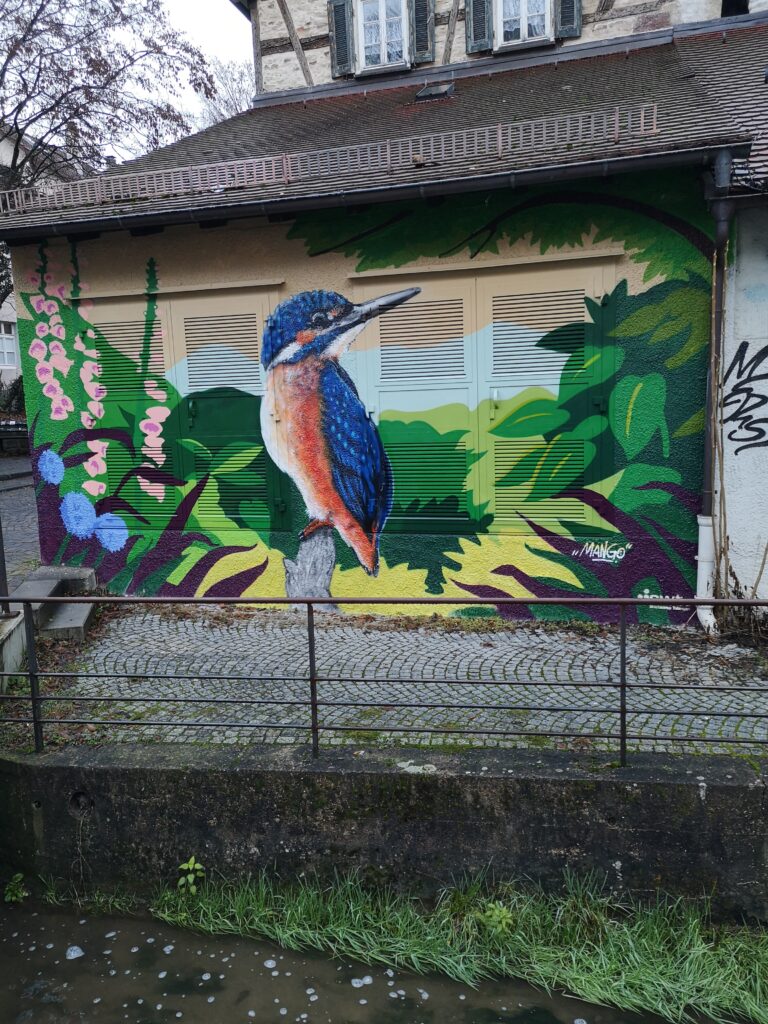 Supervision | Jan Gittinger