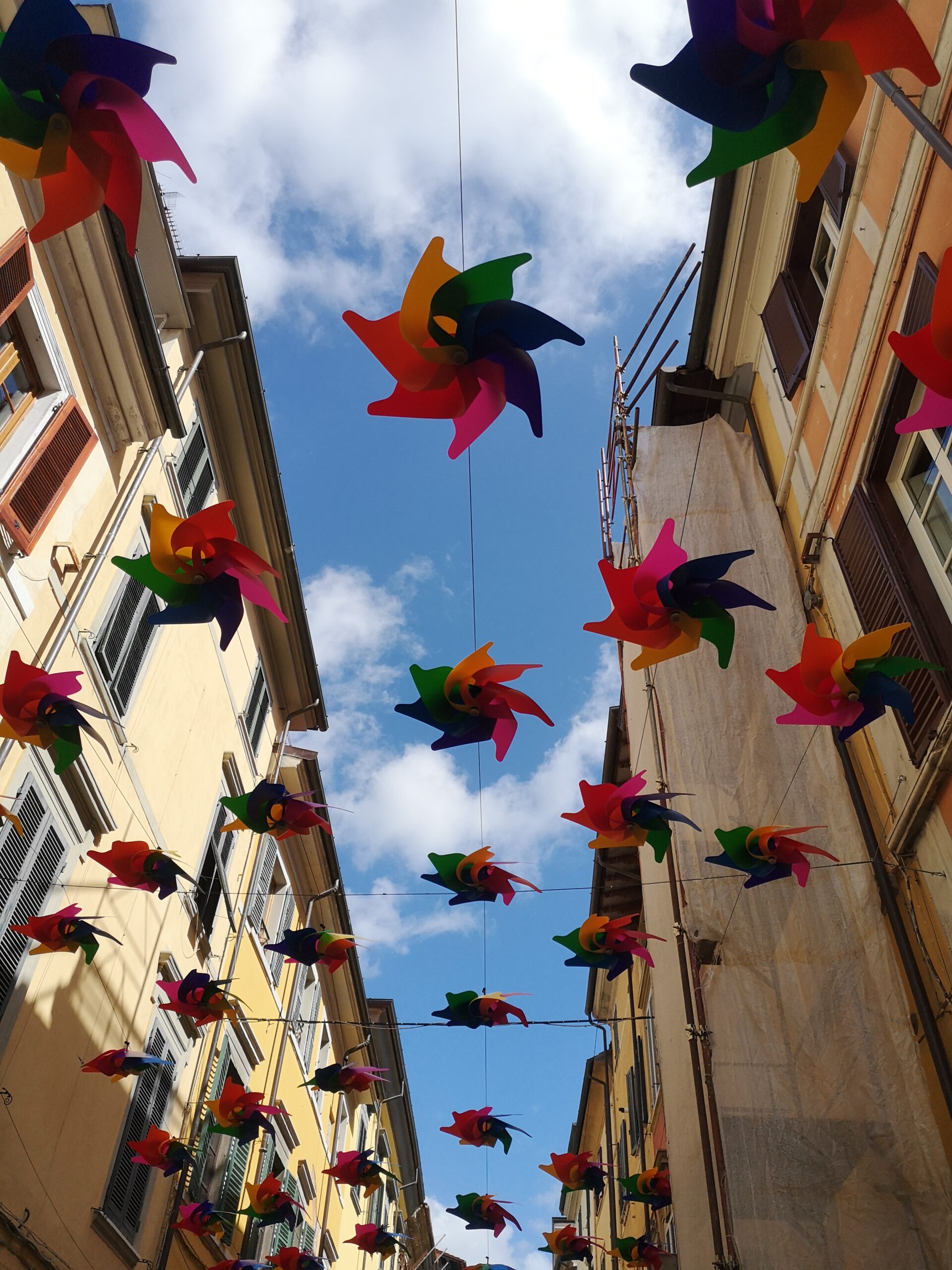 Home | Jan Gittinger